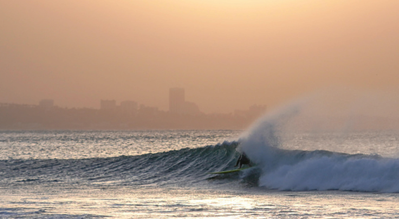 Futurewave Wetsuits | 公式サイト